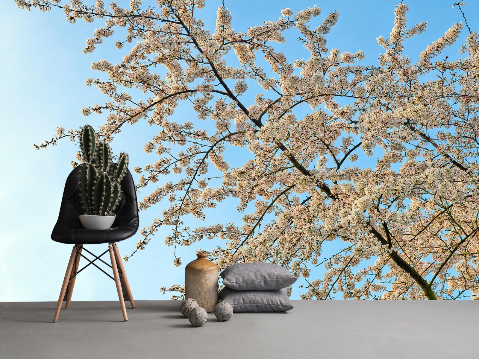 Bloesemtak - Fotobehang