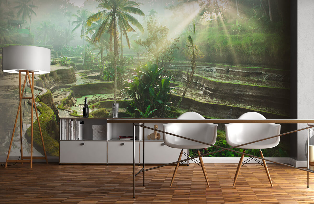 Rijstvelden in de jungle - Fotobehang