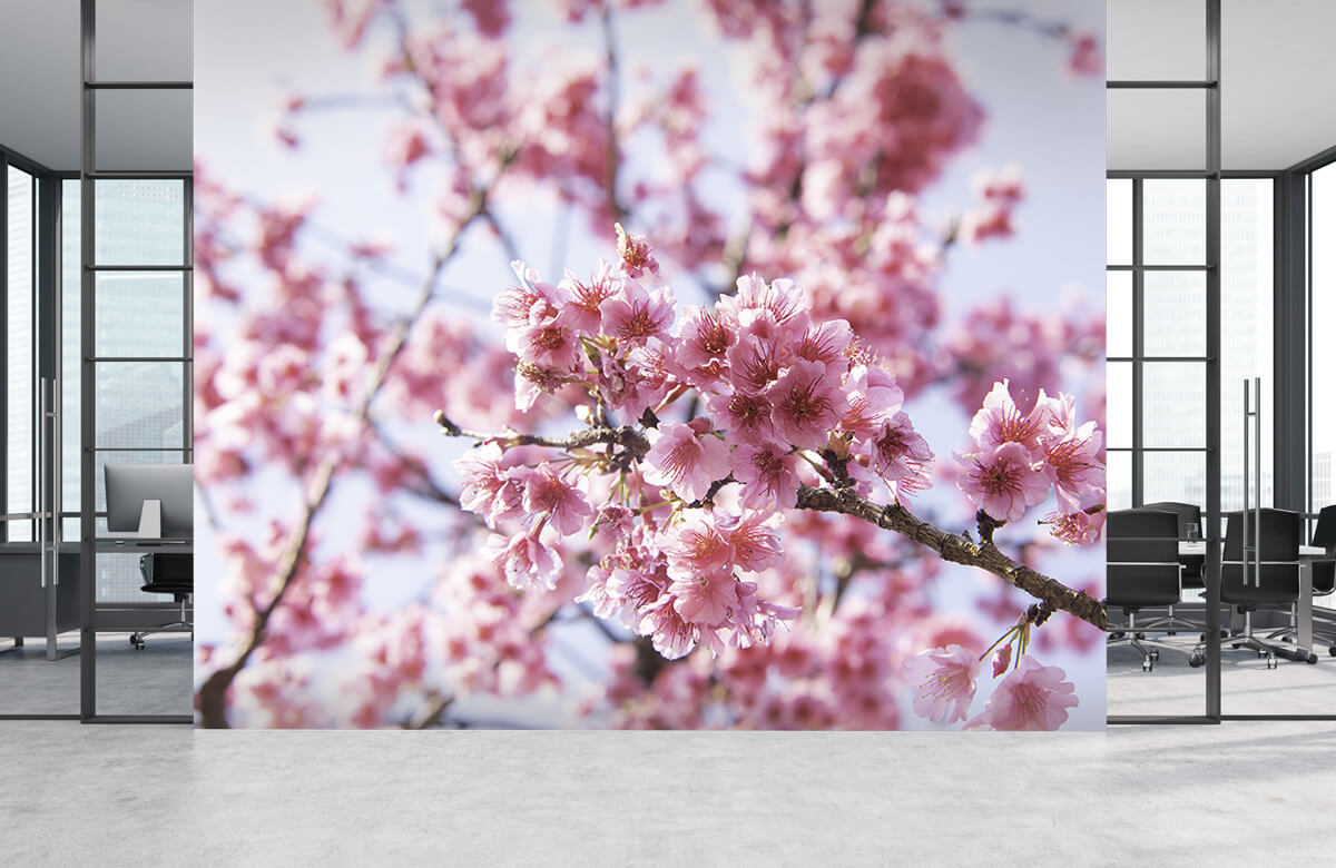 Close-up roze bloesem - Fotobehang