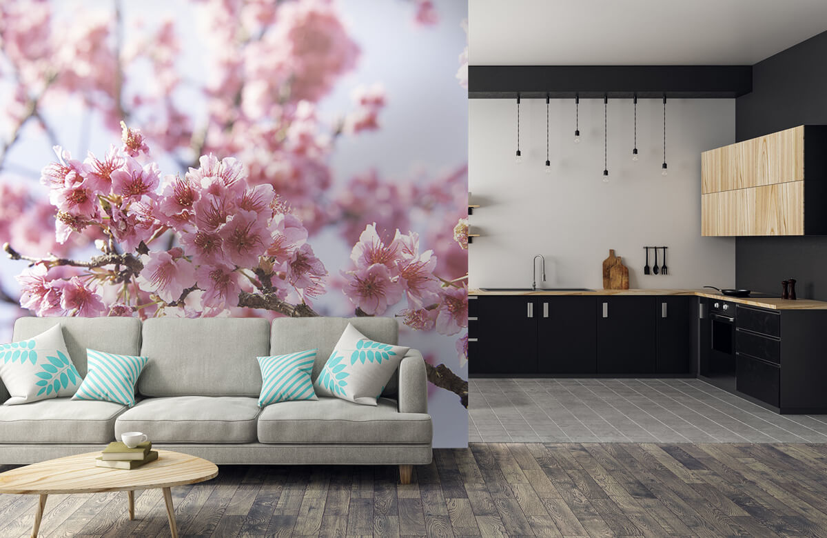 Close-up roze bloesem - Fotobehang