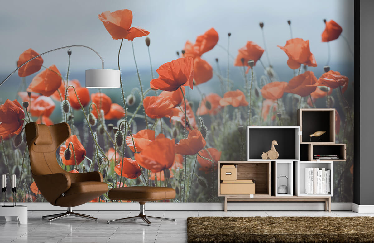 Klaprozen veld - Fotobehang