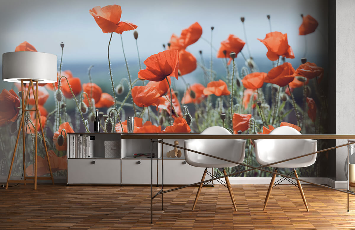 Klaprozen veld - Fotobehang