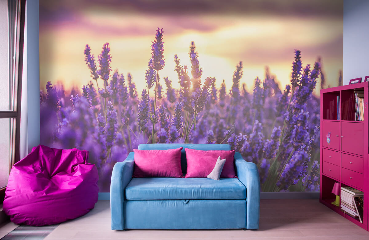 Lavendel bloemen - Fotobehang