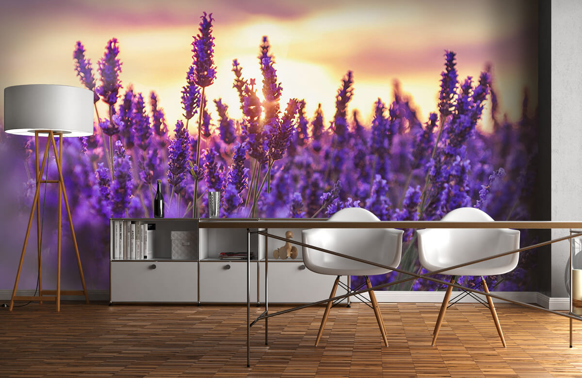 Lavendel bloemen - Fotobehang