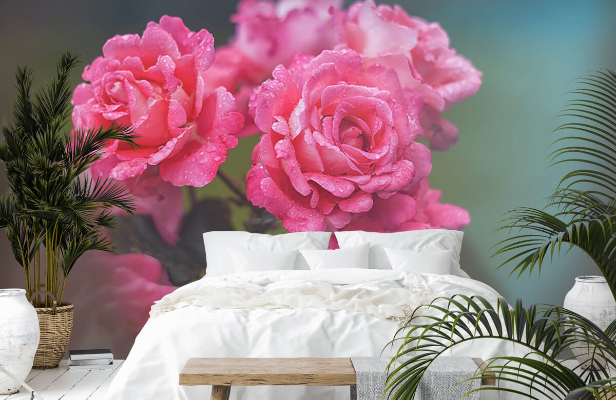 Roze rozentak - Fotobehang