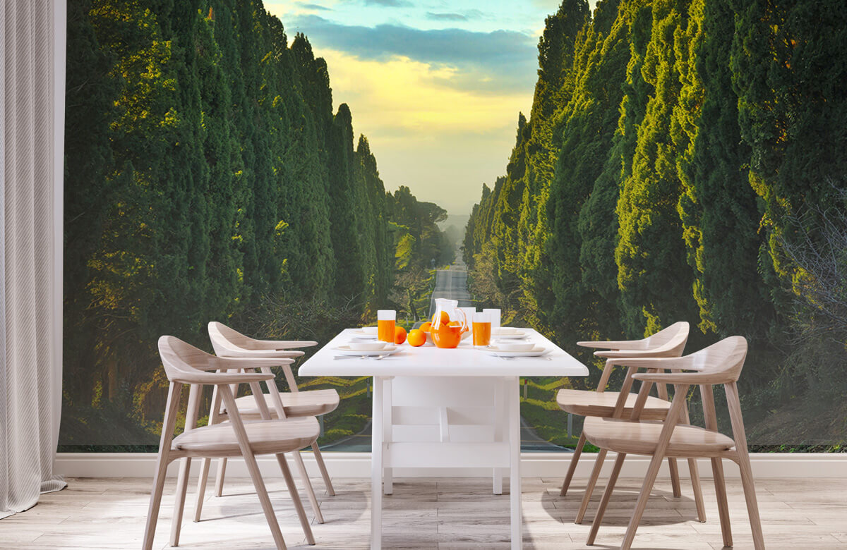 Weg met hoge bomen - Fotobehang