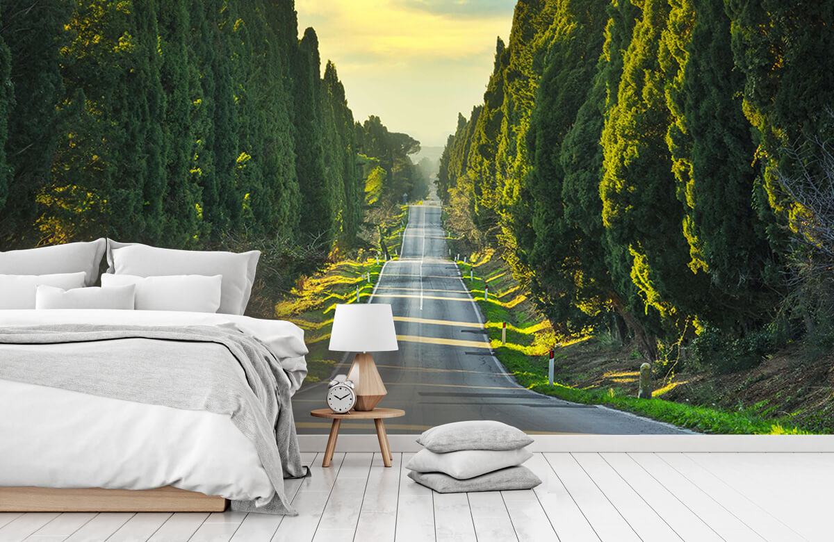 Weg met hoge bomen - Fotobehang
