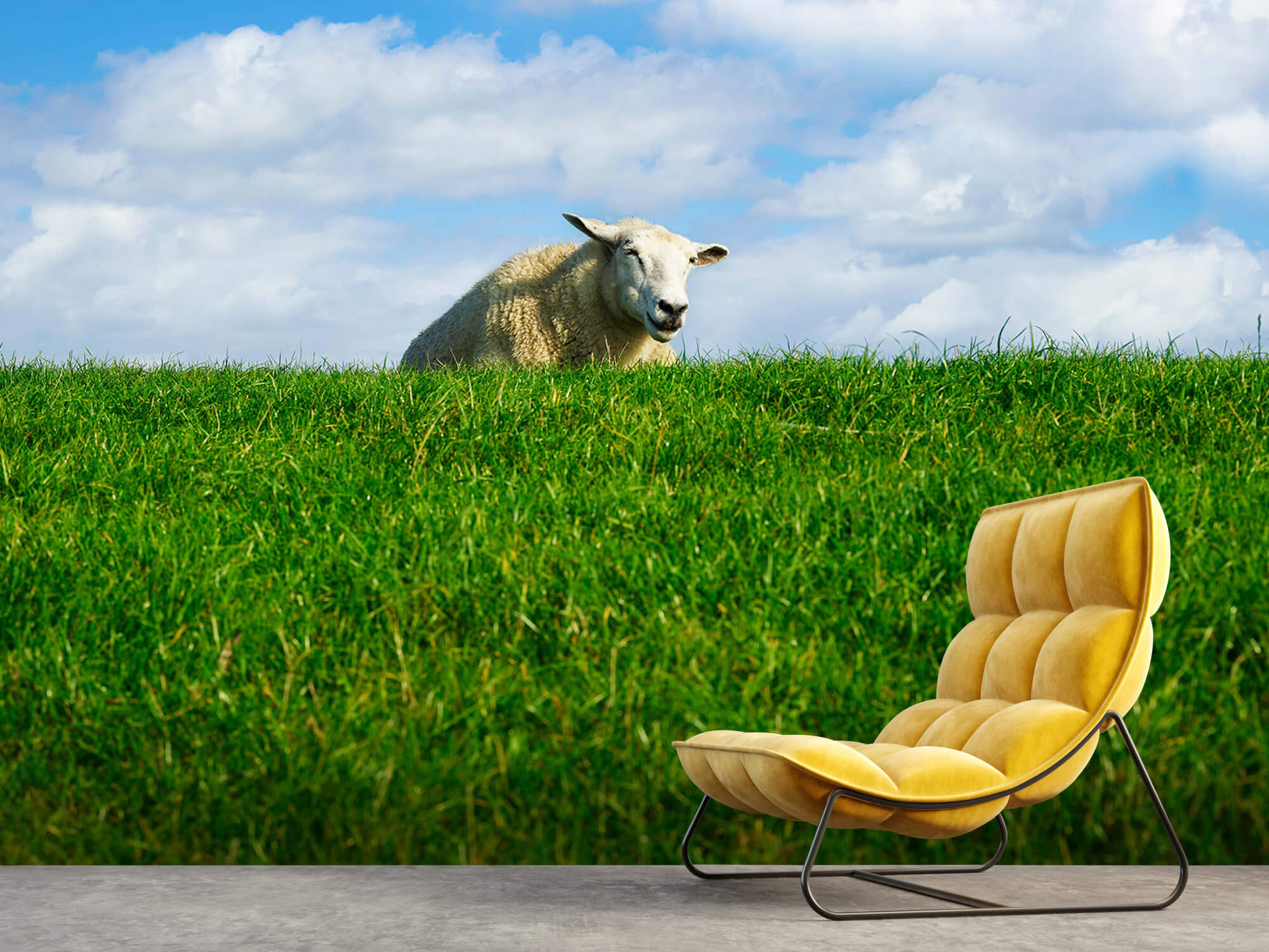 Schaap op de dijk - Fotobehang