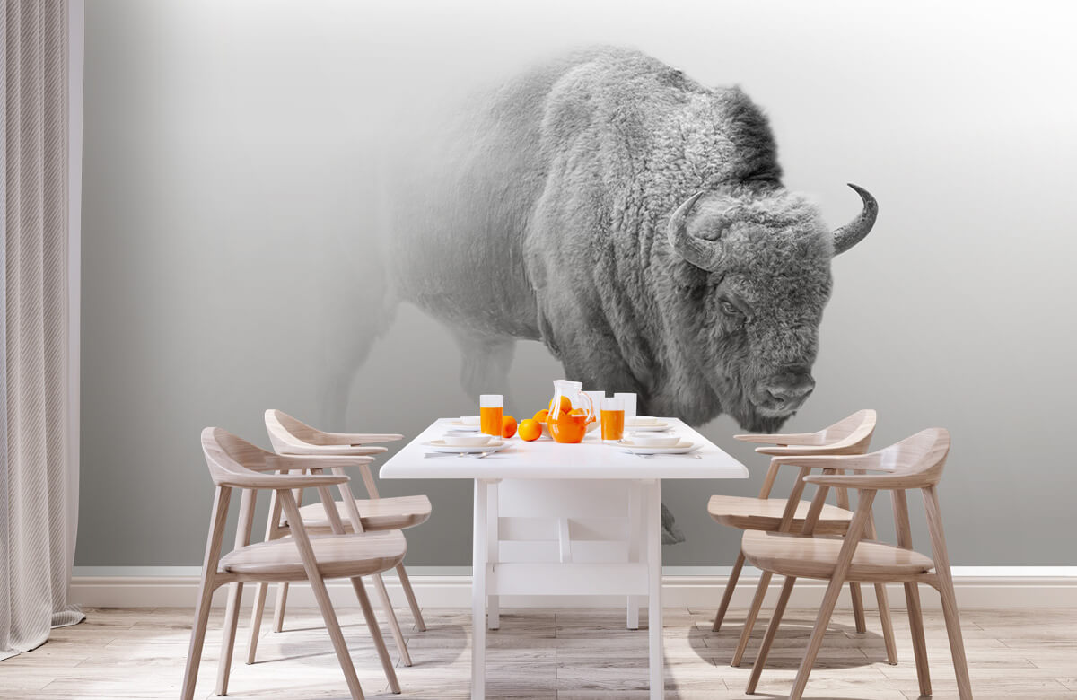 Bizon zwart, wit - Fotobehang