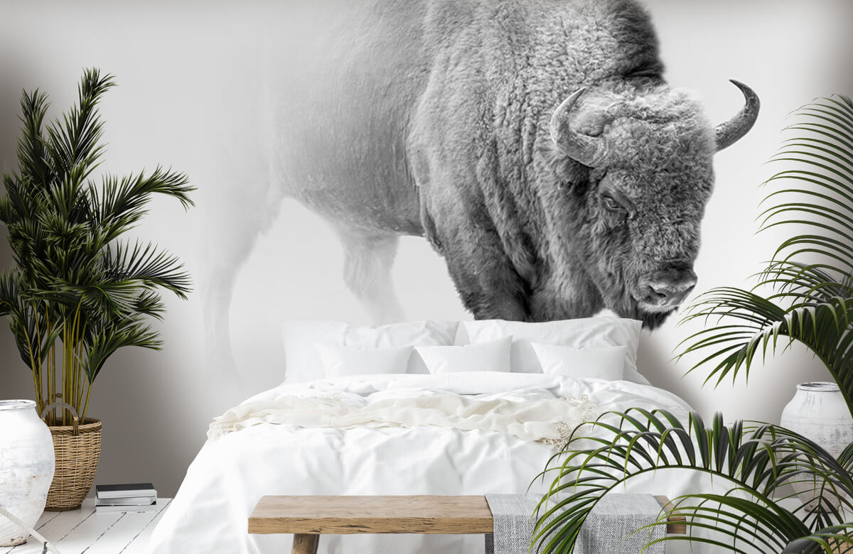 Bizon zwart, wit - Fotobehang