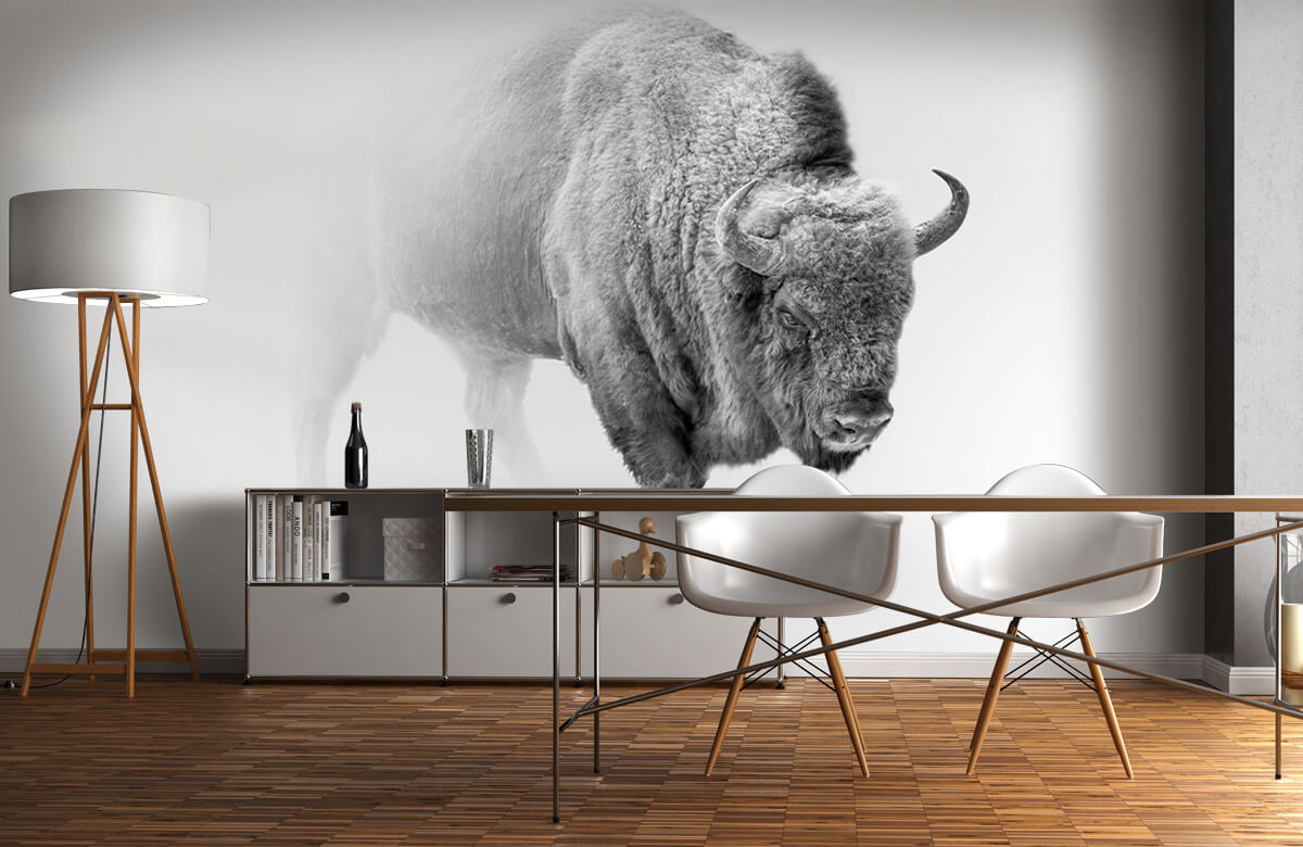 Bizon zwart, wit - Fotobehang