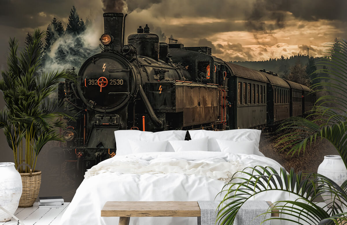 Gold digger train - Fotobehang