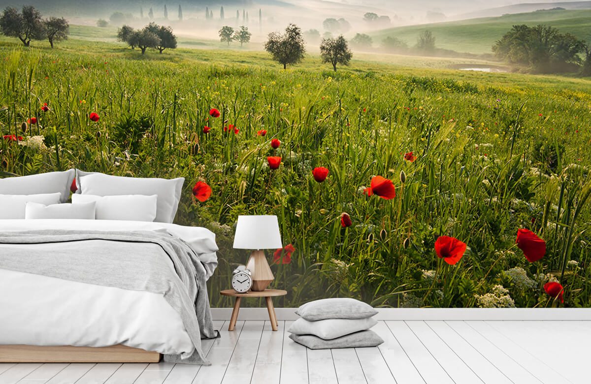 Tuscan spring - Fotobehang