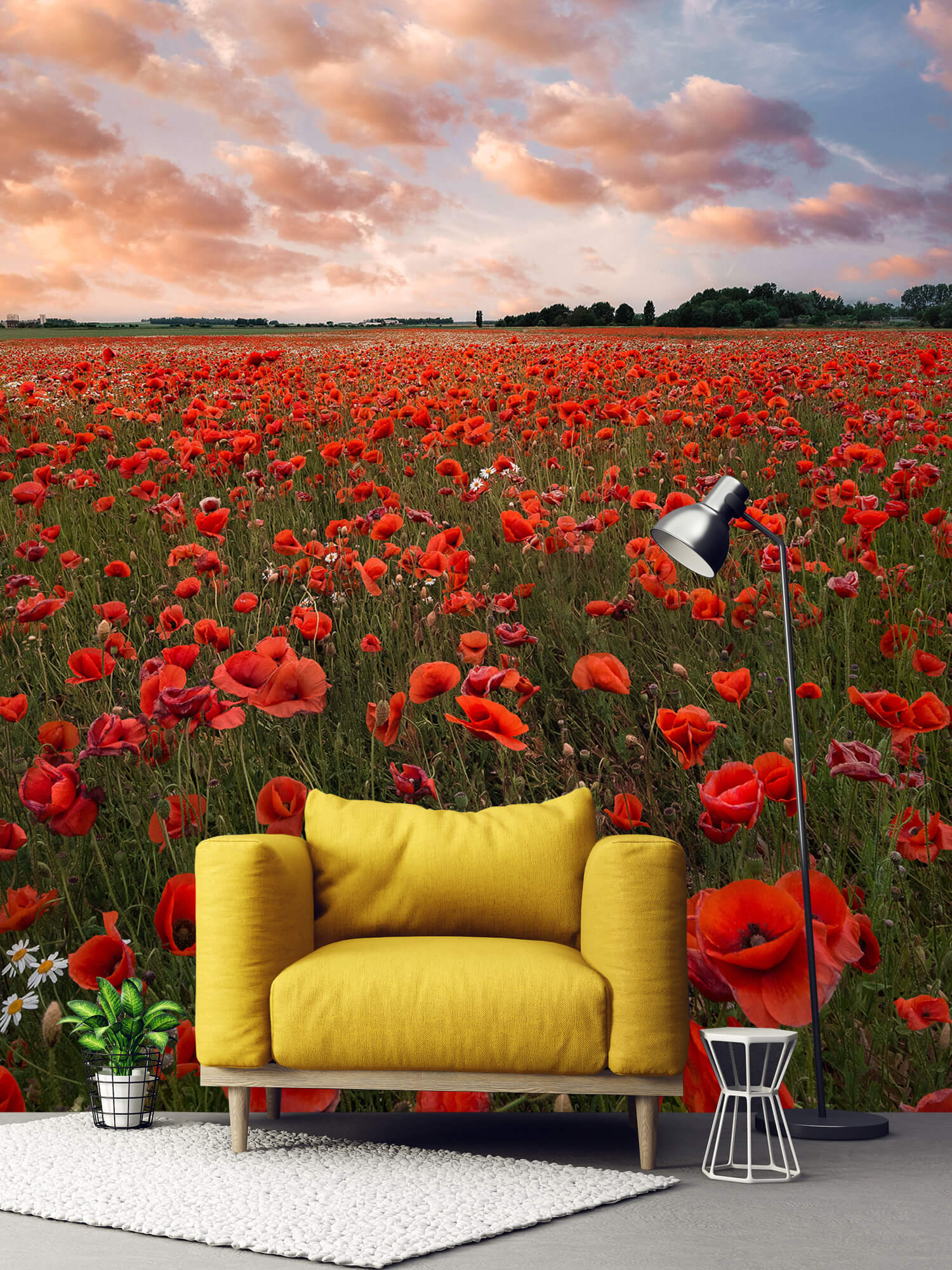 Poppy field in Sweden - Fotobehang