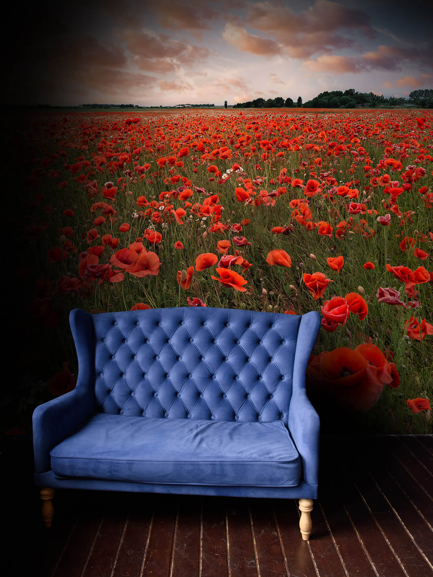Poppy field in Sweden - Fotobehang