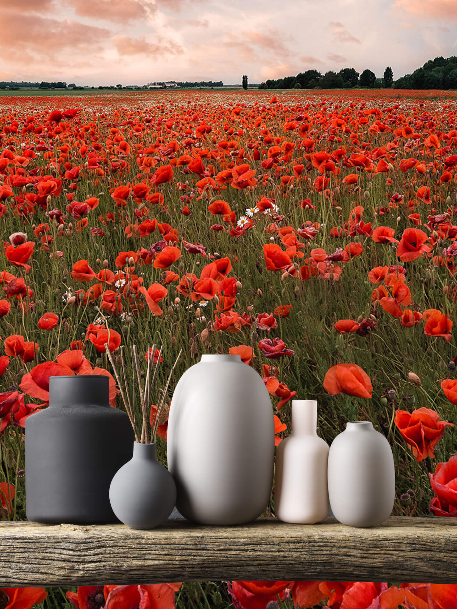 Poppy field in Sweden - Fotobehang