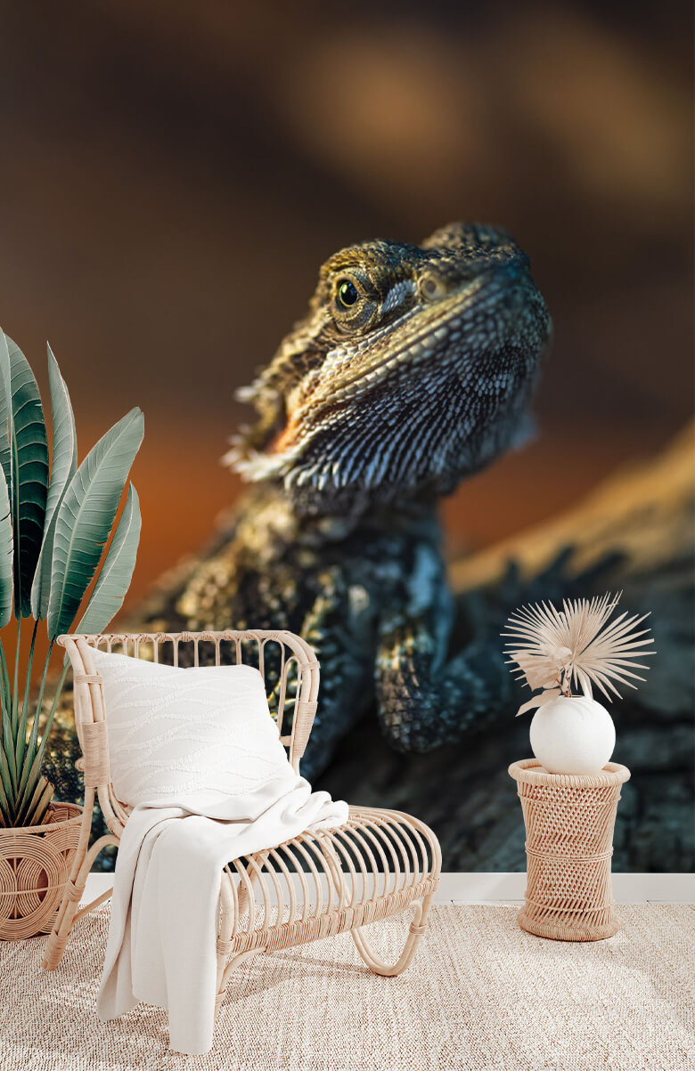 Close-up hagedis - Fotobehang