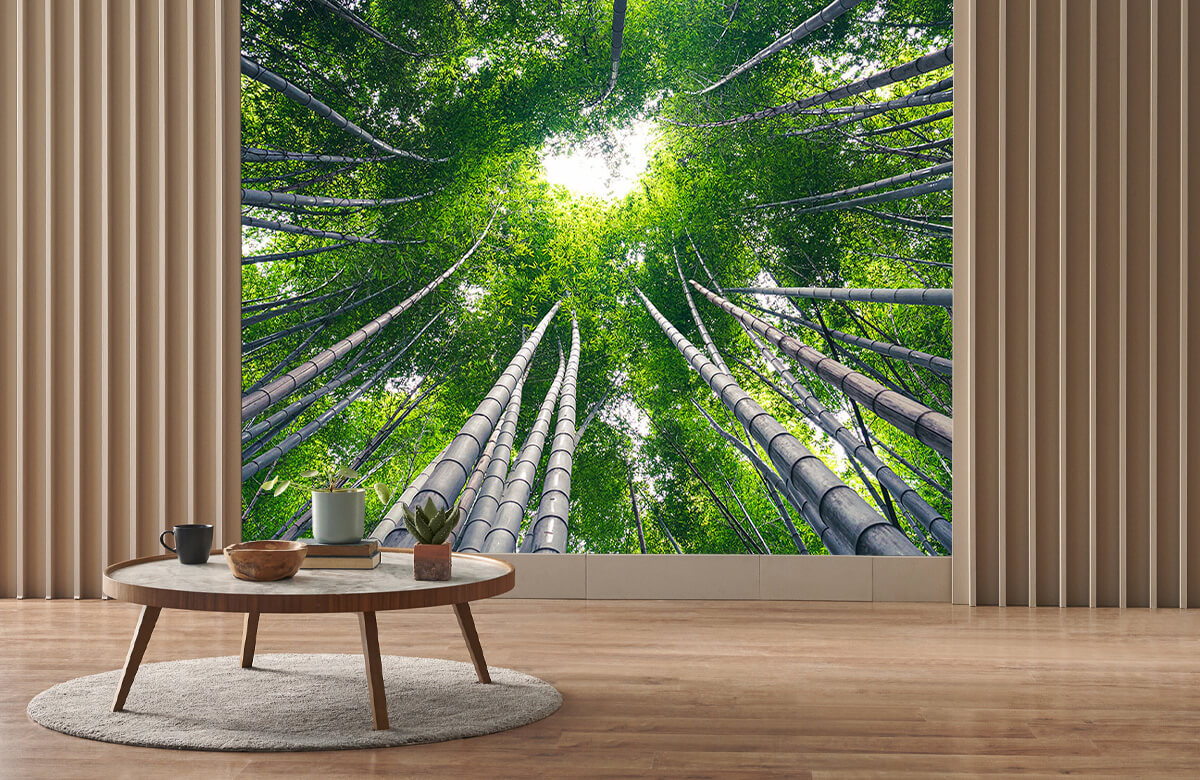 Bos met bamboe - Fotobehang