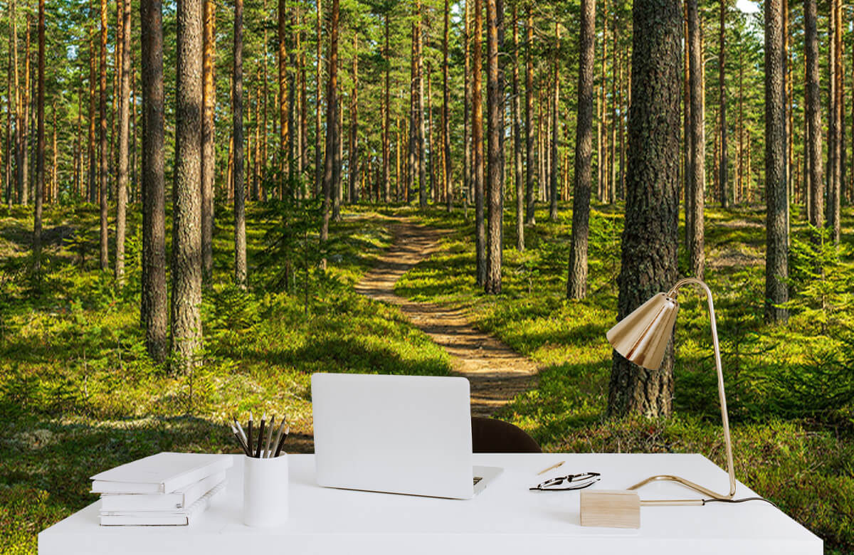 Wandelpad in dennenbos - Fotobehang