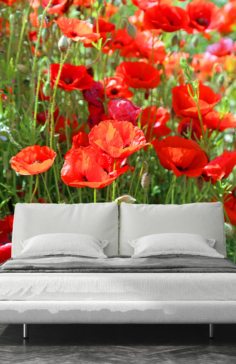 Klaprozen en gras - Fotobehang