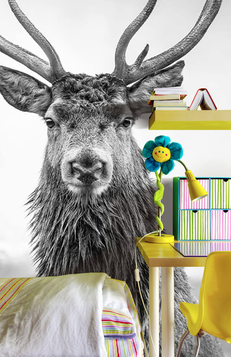 Groot hert - Fotobehang